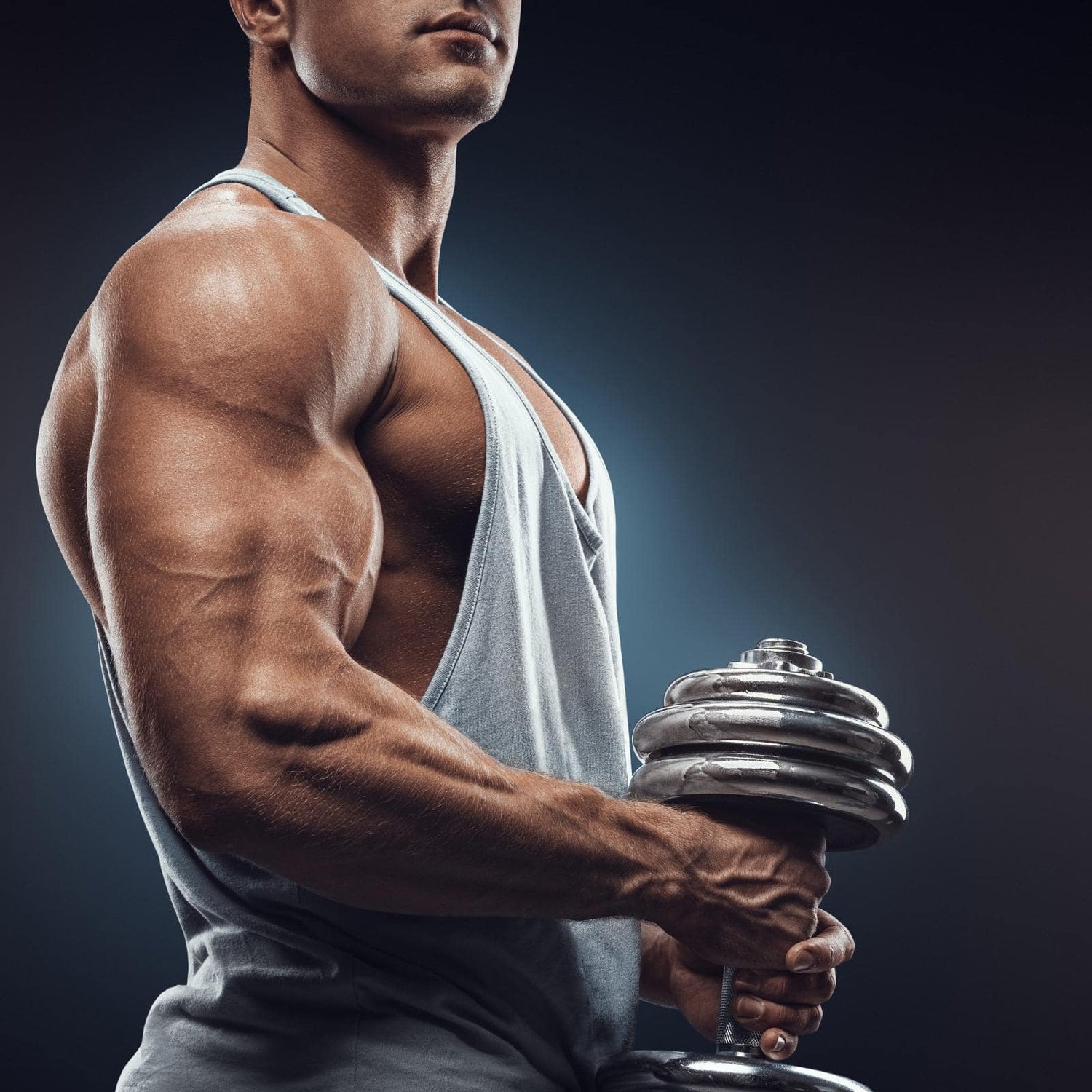 The Two Types Of Muscle Growth – Vigorous Innovations